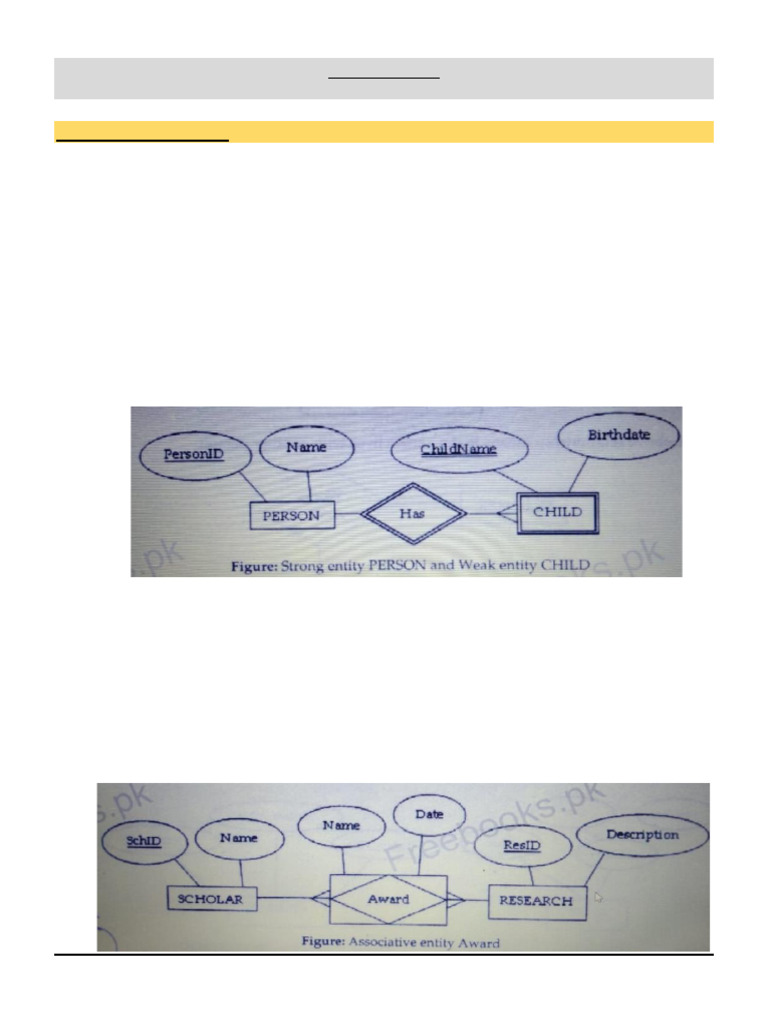 Entity Types, Attributes, and Relationships | PDF | Identifier | Databases