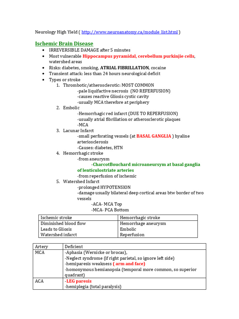 245932119 Neurology High Yield Notes for Step 1 | PDF | Cerebellum | Myelin