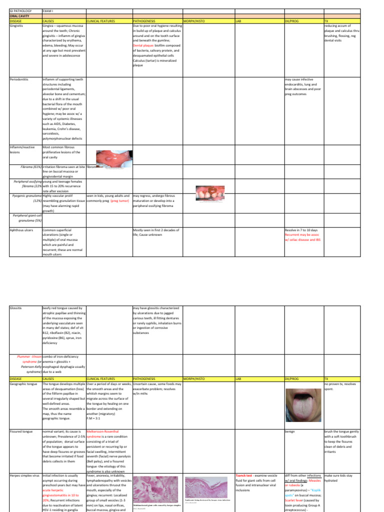 130455552 Gi Pathology Block 3 Review | PDF | Esophagus | Human Tooth