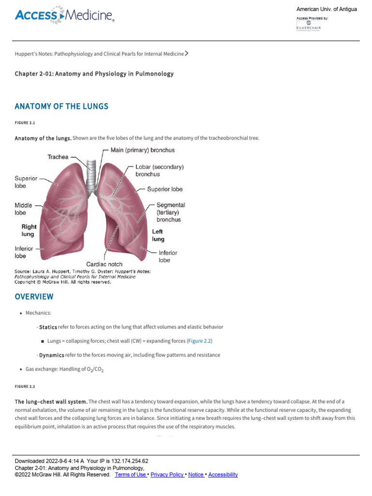 Chapter 2-01_ Anatomy and Physiology in Pulmonology | PDF | Lung ...