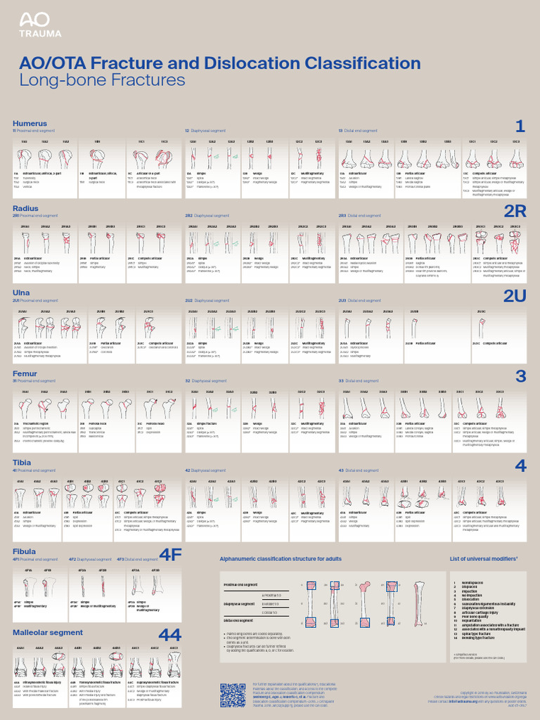 AOOTA Classification 2018 Poster 2107071002 | PDF | Injury ...