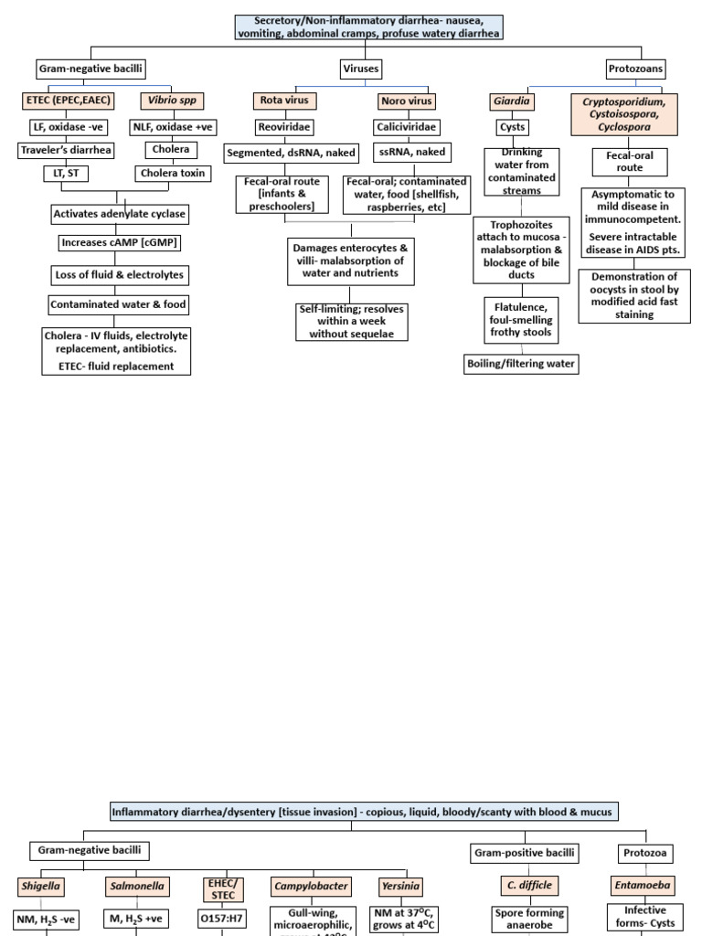 Diarrheal Diseases: Causes and Treatments | PDF | Diarrhea | Microbiology