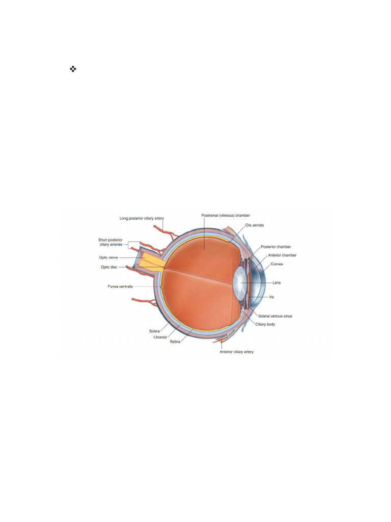 Non Infectious Uveitis 1. Mainstream B1 and B2 Practical Groups 5th ...