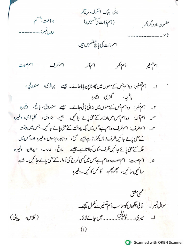 urdu isme zaat types | PDF