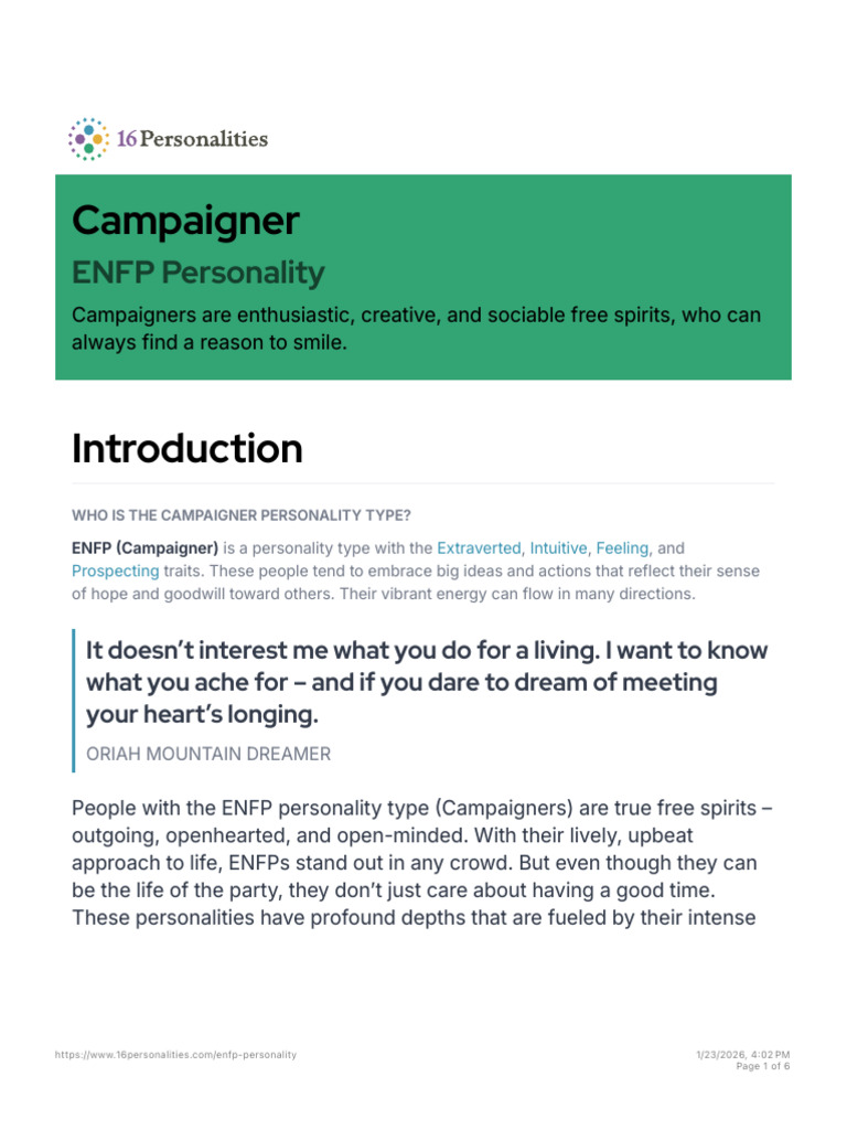 Understanding the ENFP Campaigner Personality | PDF | Feeling | Psychology