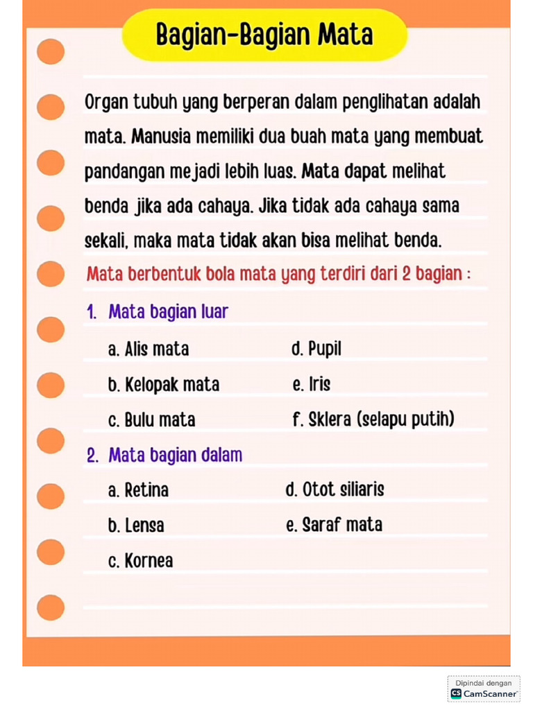 Ipas Bagian Mata Kelas 5 | PDF