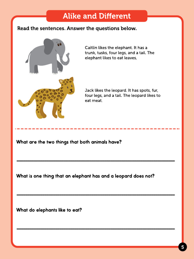 Alike&Different | PDF