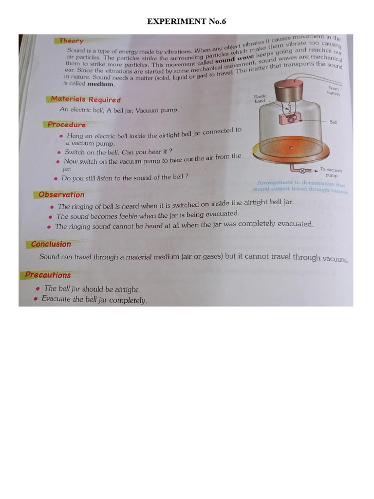 8 Science T2 Prac | PDF