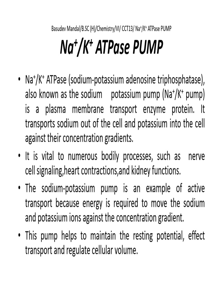 Na+/K+ ATPase Pump Functions Explained | PDF