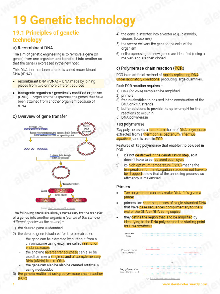 19_genetic_technology (1) | PDF | Complementary Dna | Primer (Molecular ...