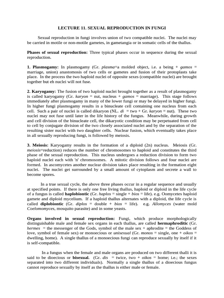 Sexual Reproduction in Fungi Explained | PDF | Sexual Reproduction | Sex