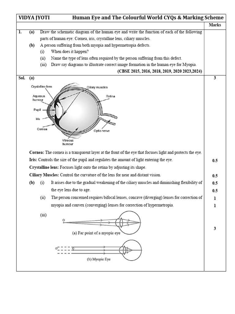 Human Eye and The Colorful World - CYQs & Marking Scheme PDF | PDF ...