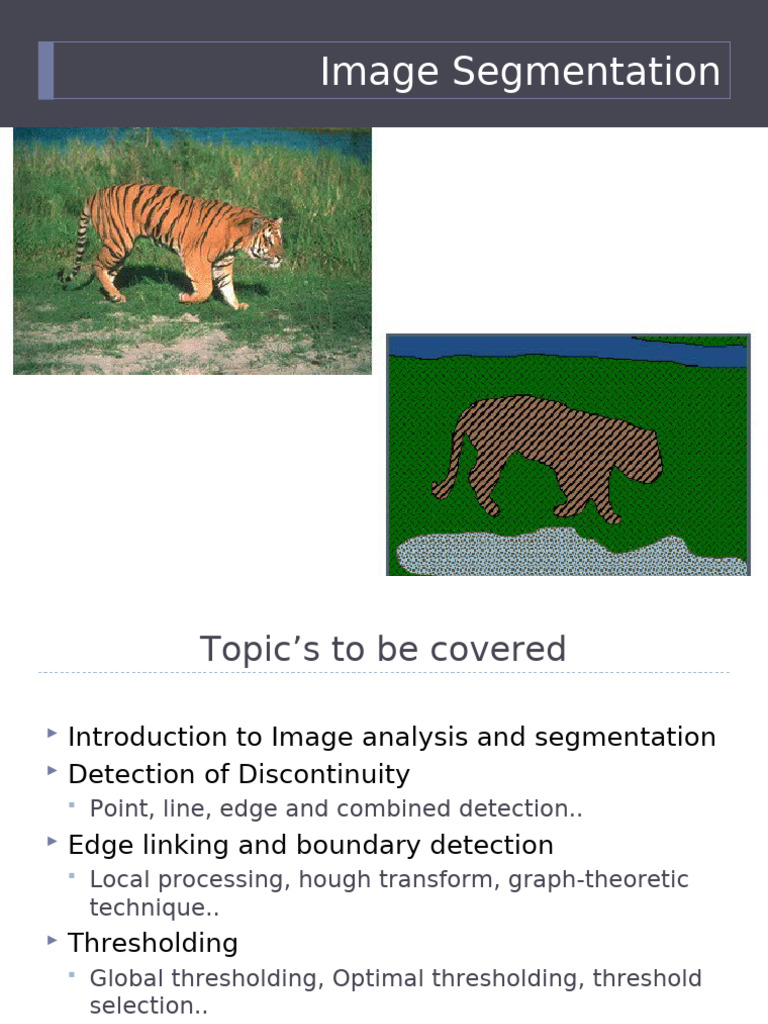 Image Segmentation Techniques Explained | PDF | Image Segmentation ...