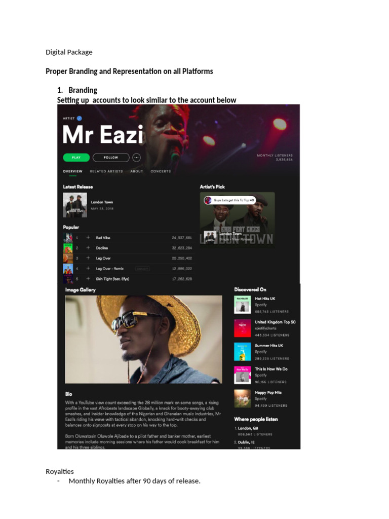 _Artist Digital Promo Plan | PDF | Spotify | You Tube