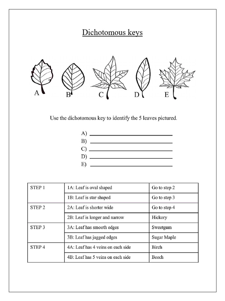 Dichotomous Keys | PDF