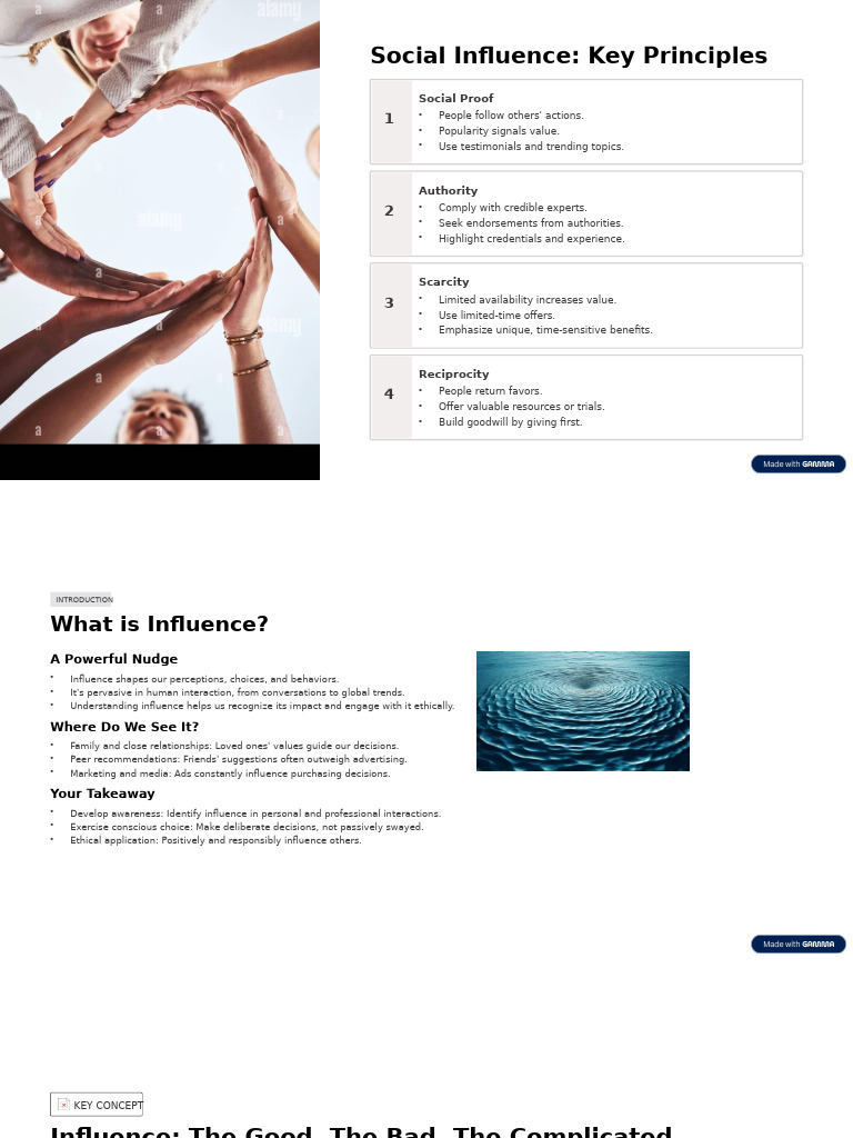 Social-Influence-Key-Principles | PDF | Self Esteem | Well Being