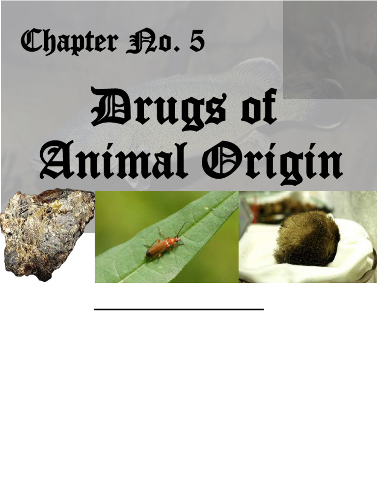 Ch_5_Cognosy 1 Drugs of Animal Origin | PDF | Gelatin | Honey Bee