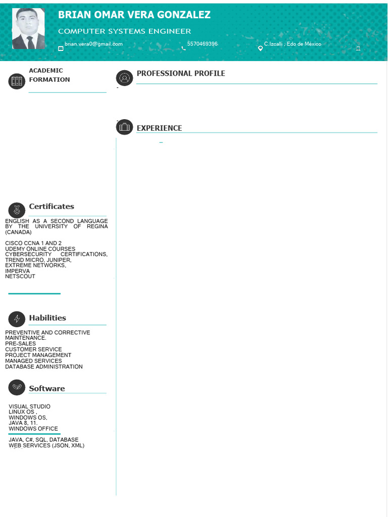 Ejemplo de curriculum vitae en formato correcto | PDF | Computer Security | Security