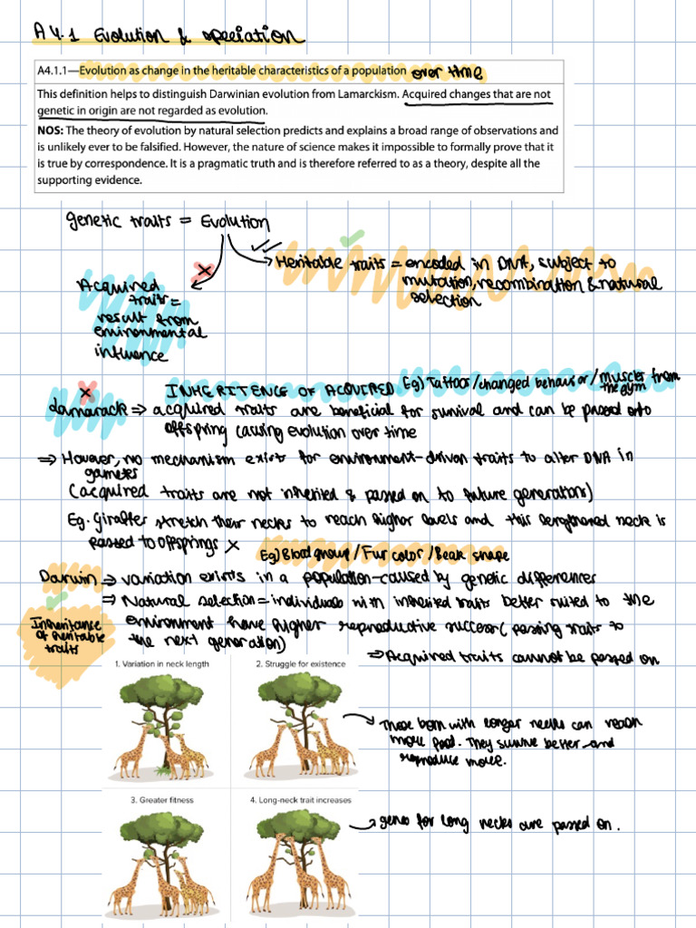 Evolution and Speciation Explained | PDF | Ploidy | Evolution