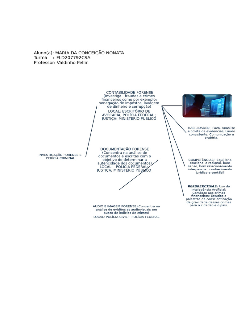 Mapa Conceitual - 26.06.2025 | PDF