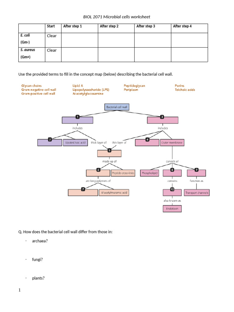 Cells Worksheet Colour | PDF