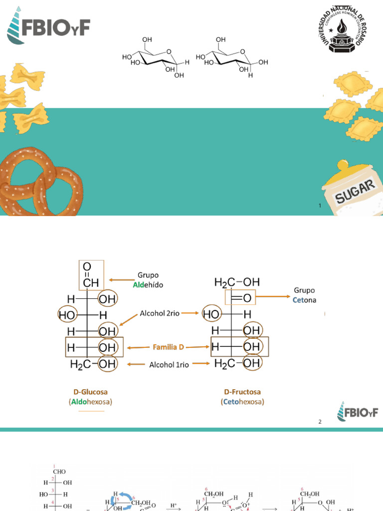 Taller HdeC Corto | PDF