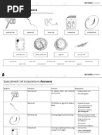 6th Grade Cell Structure Overview | PDF | Cell (Biology) | Endoplasmic ...
