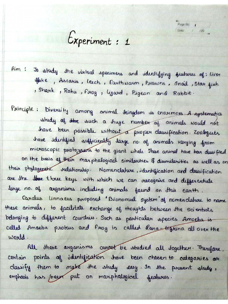 Biology practicals notes class 12 cbse | PDF