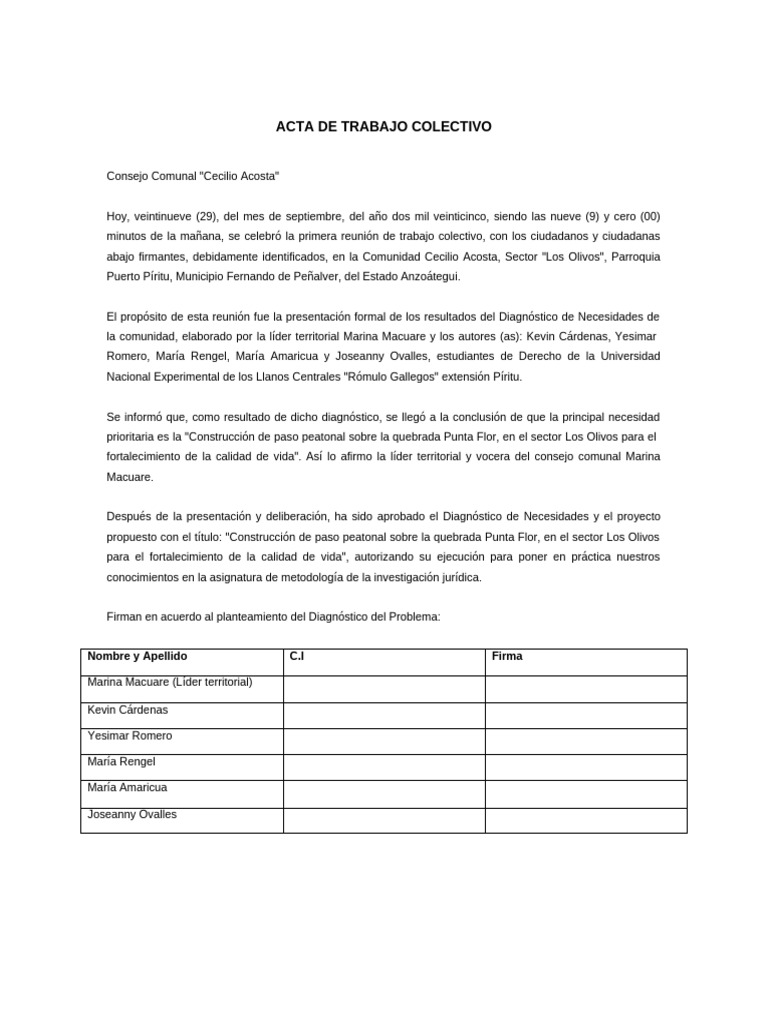 Proyecto Marivi | PDF