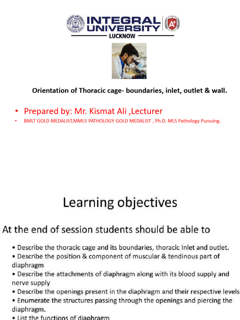 Orientation of Thoracic cage- boundaries, inlet, outlet & wall | PDF ...