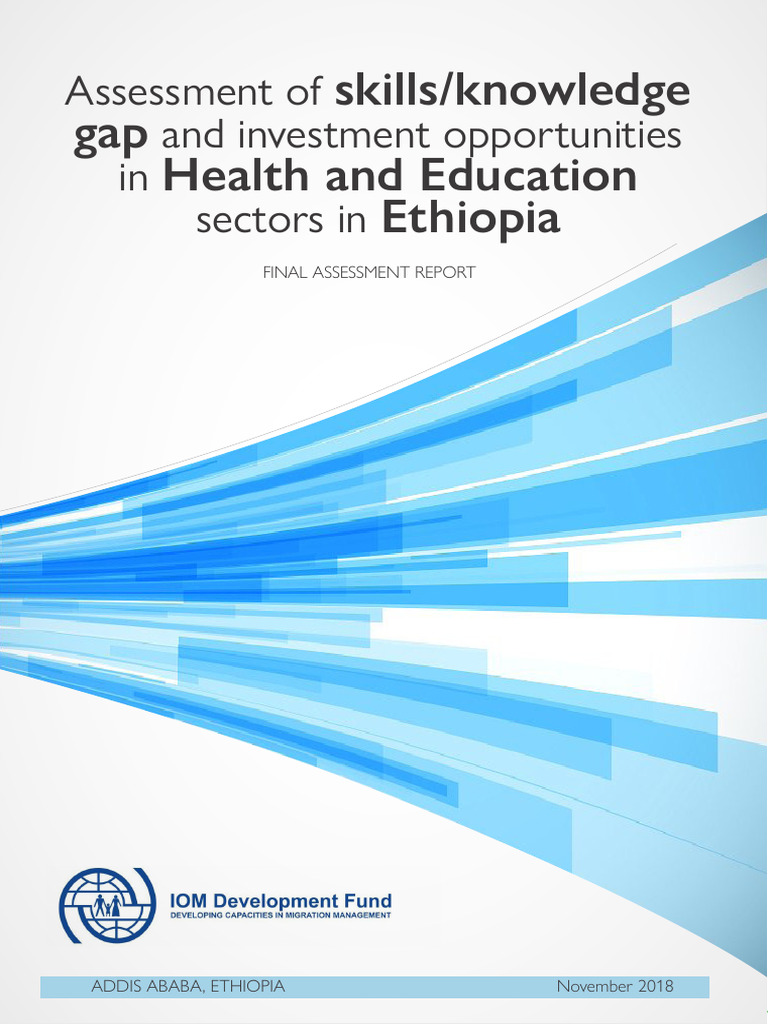 Final Assessment Report | PDF | International Organization For ...