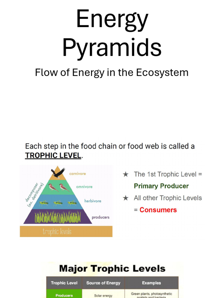 Energy Pyramids Lab | PDF