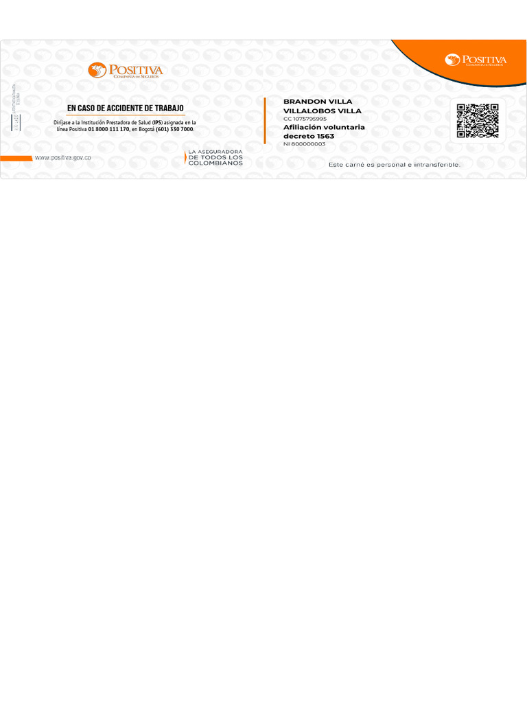 Carnet Arl - Brandon Villalobos Villa | PDF
