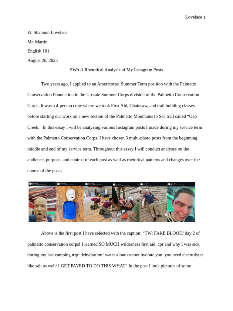 Rhetorical Analysis of Instagram Posts | PDF