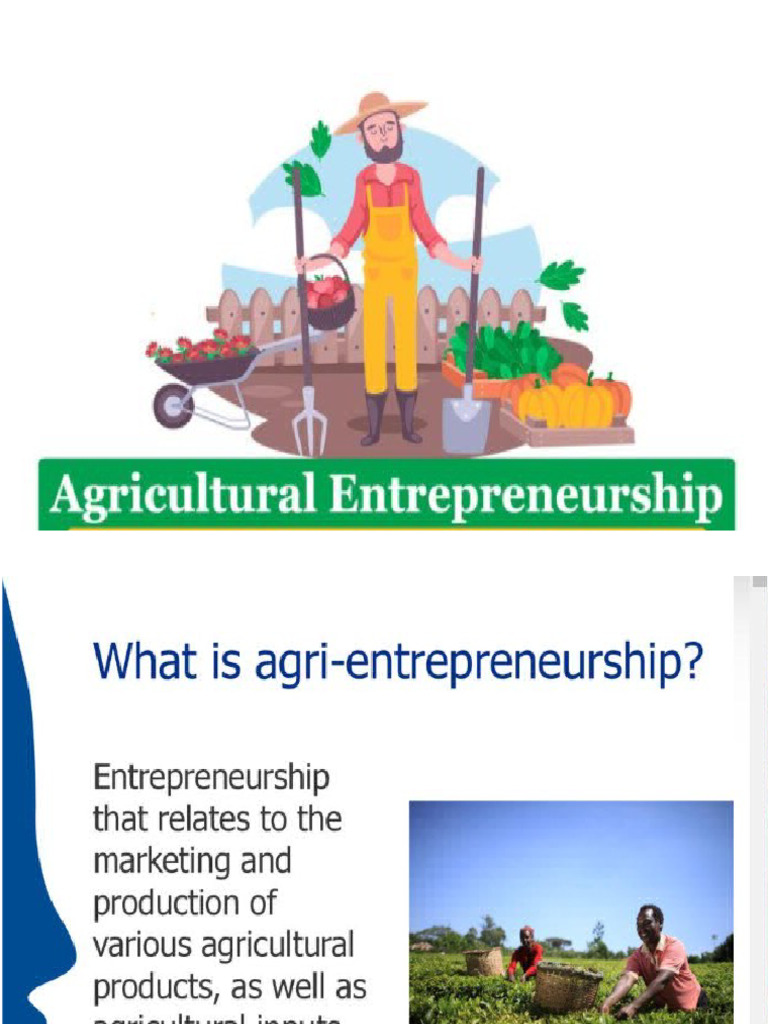 3.-Agricultural-entrep (1) | PDF