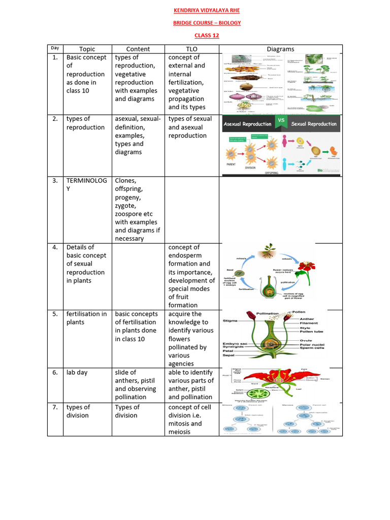 Comprehensive Biology Bridge Course | PDF | Sexual Reproduction ...