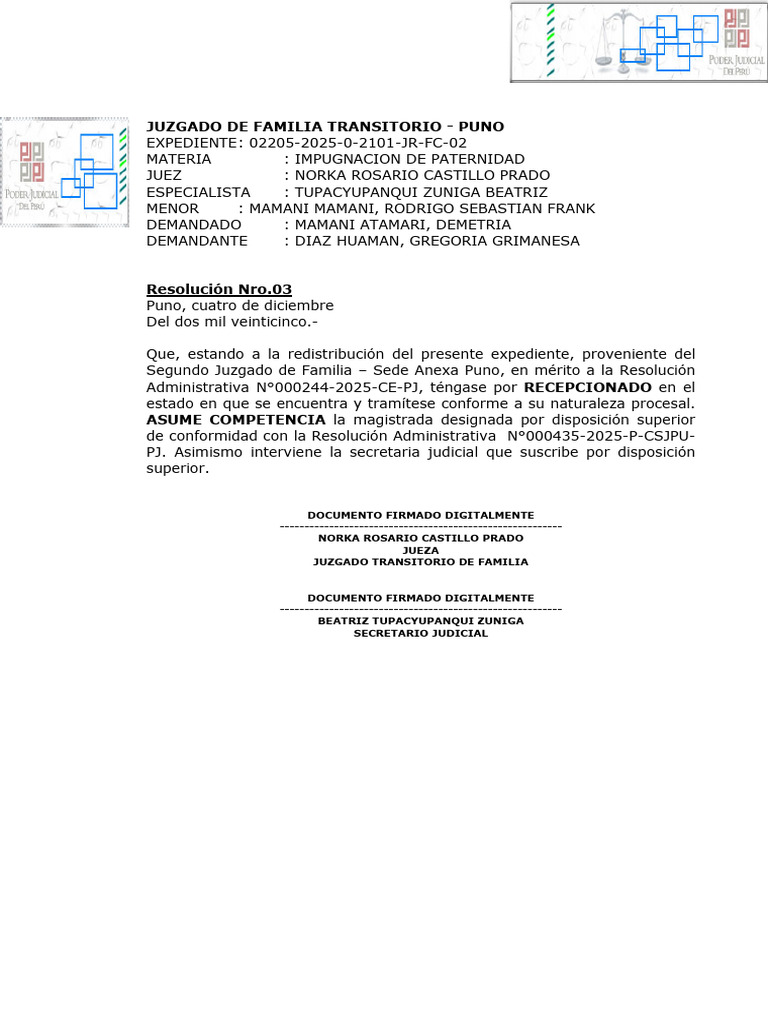 Exp. 02205-2025-0-2101-JR-FC-02 - Resolución - 48691-2025 | PDF | Ley común | Ley constitucional