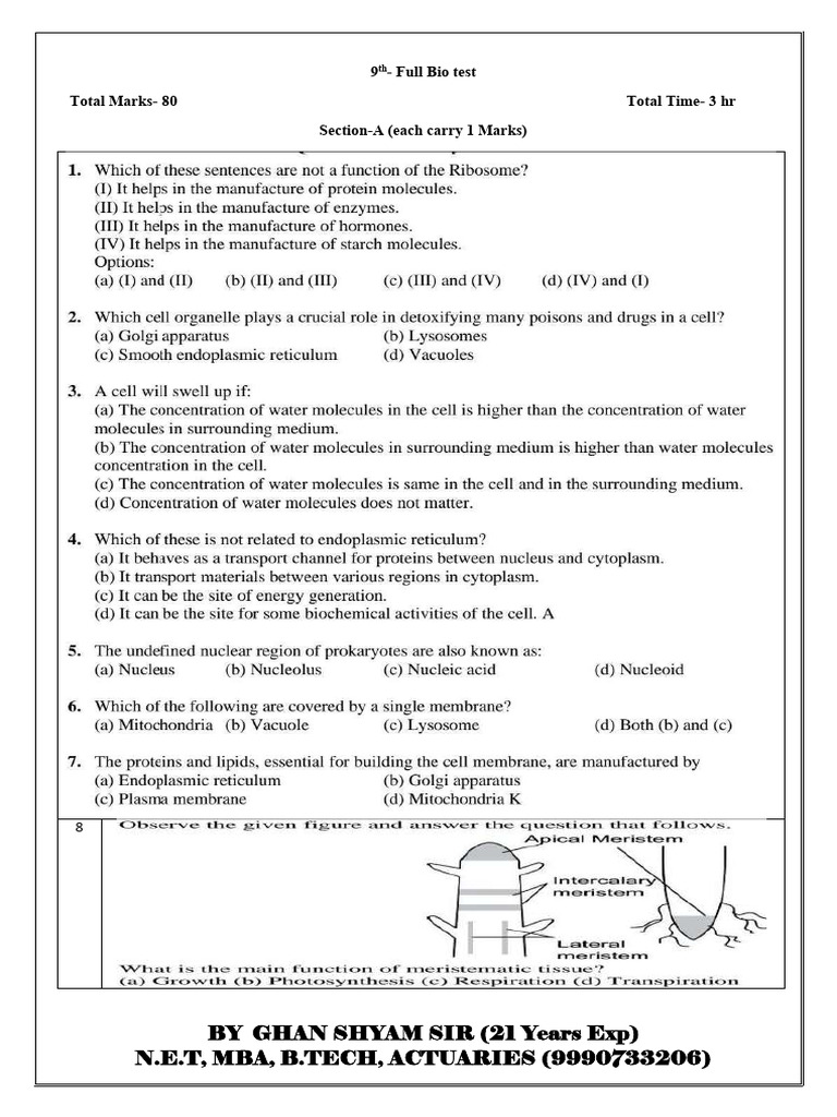 Template FullBio | PDF
