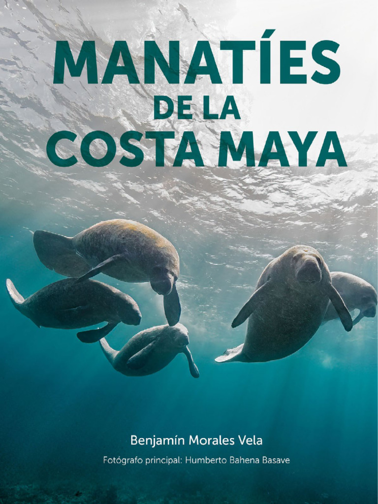 Manaties de La Costa Maya Benjamín Morales Vela 2024 | PDF | Américas