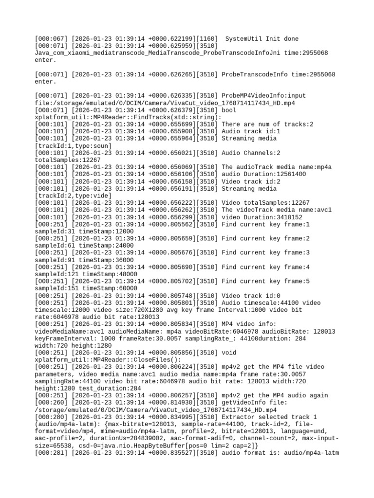 MP4 Video and Audio Track Analysis | PDF | Codec | Video
