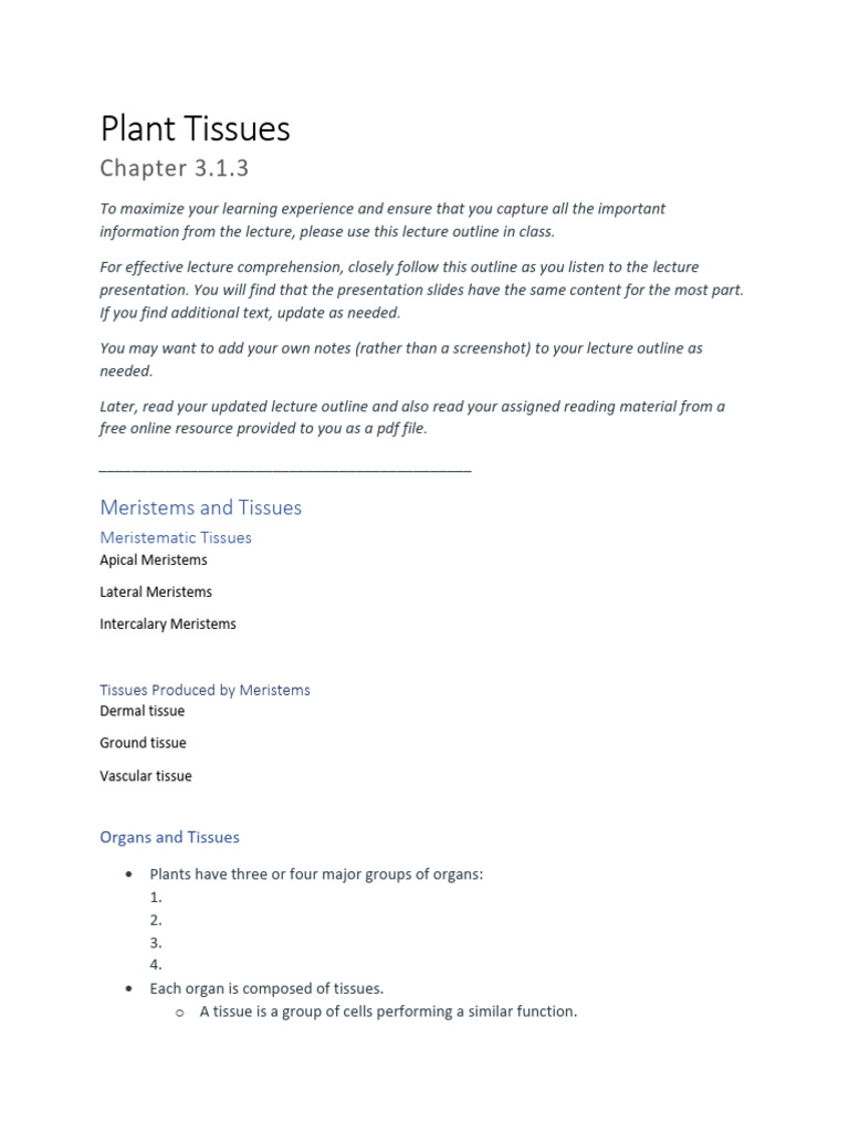 Ch 3.1.3 Plant Tissues | PDF | Tissue (Biology) | Anatomy
