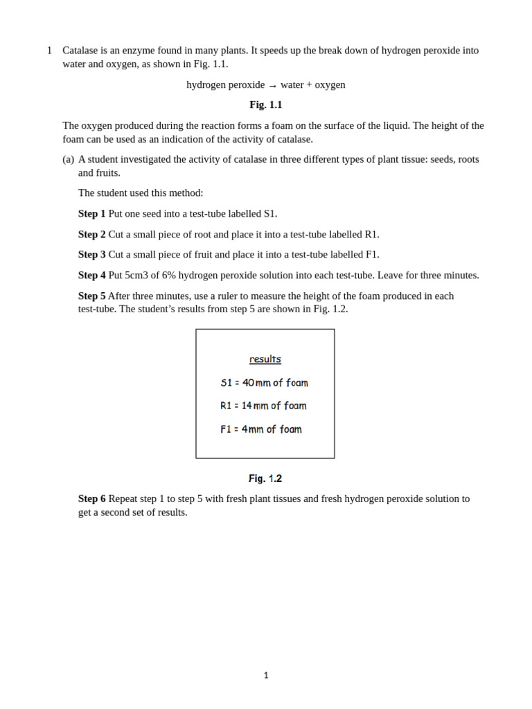 Year 11 Biology Mock Paper 6 QP | PDF | Catalase | Respiratory System