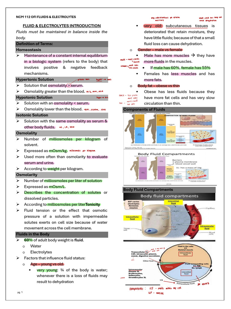10.1 NCM 112 OFI PRELIM Fluids Electrolytes Introduction | PDF ...