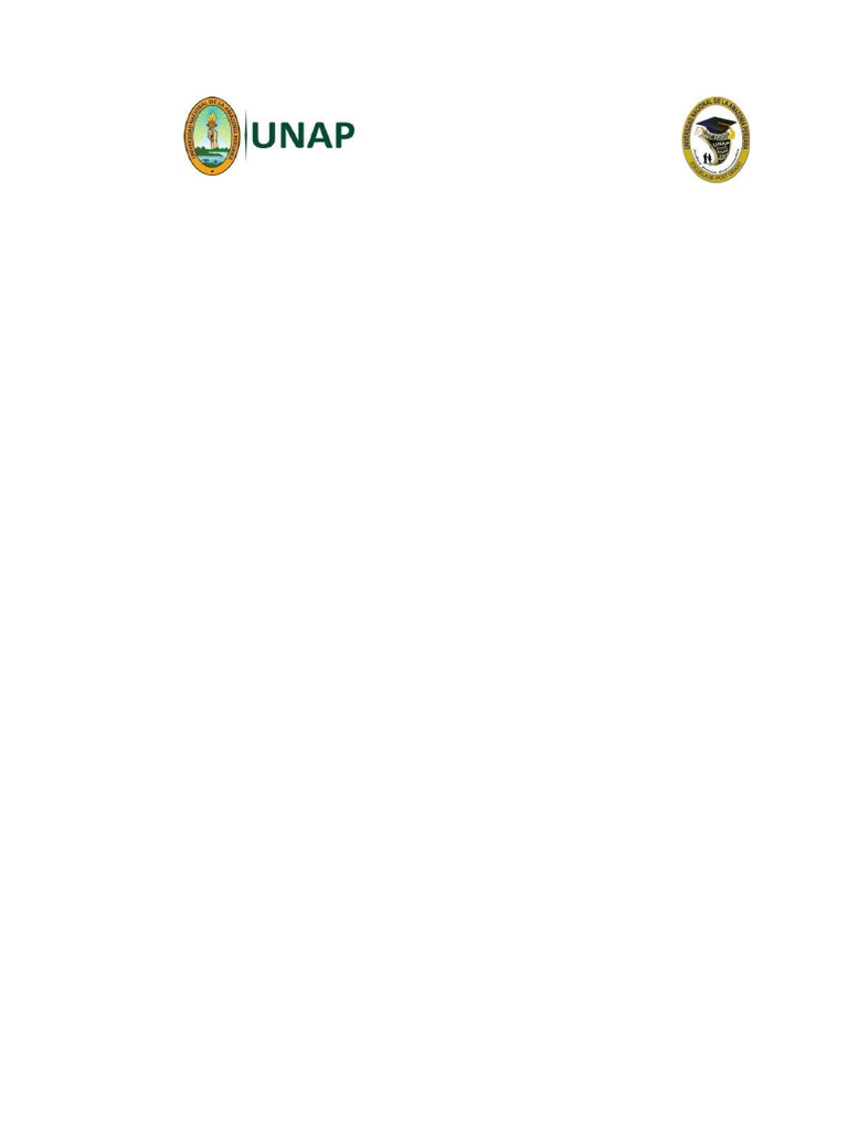 Otto Tesis Maestria 2020 | PDF