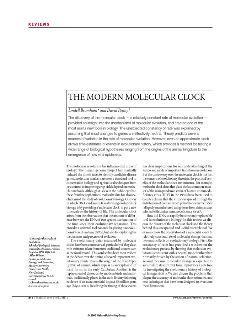 The modern molecular clock | PDF | Mutation | Evolution
