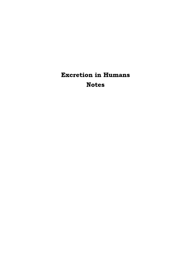 Notes - Topic 12 Excretion in Humans (2) | PDF | Kidney | Abdomen