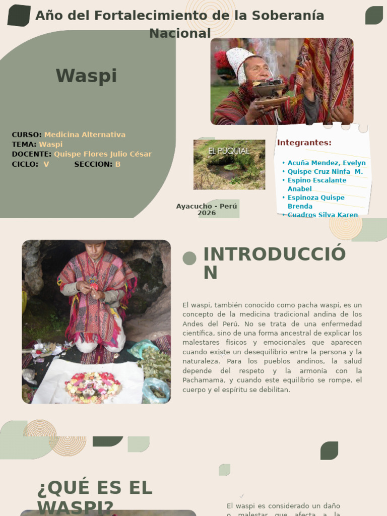 Waspi o Pacha waspi | PDF | Enfermedades y trastornos