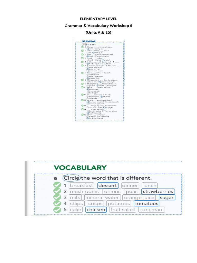 Grammar & Vocabulary Workshop 5 | PDF