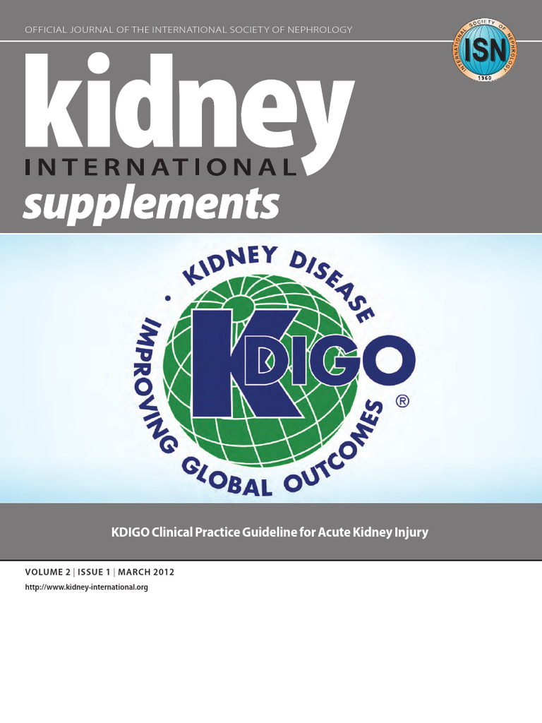 KDIGO Acute Kidney Injury Guidelines | PDF | Chronic Kidney Disease ...