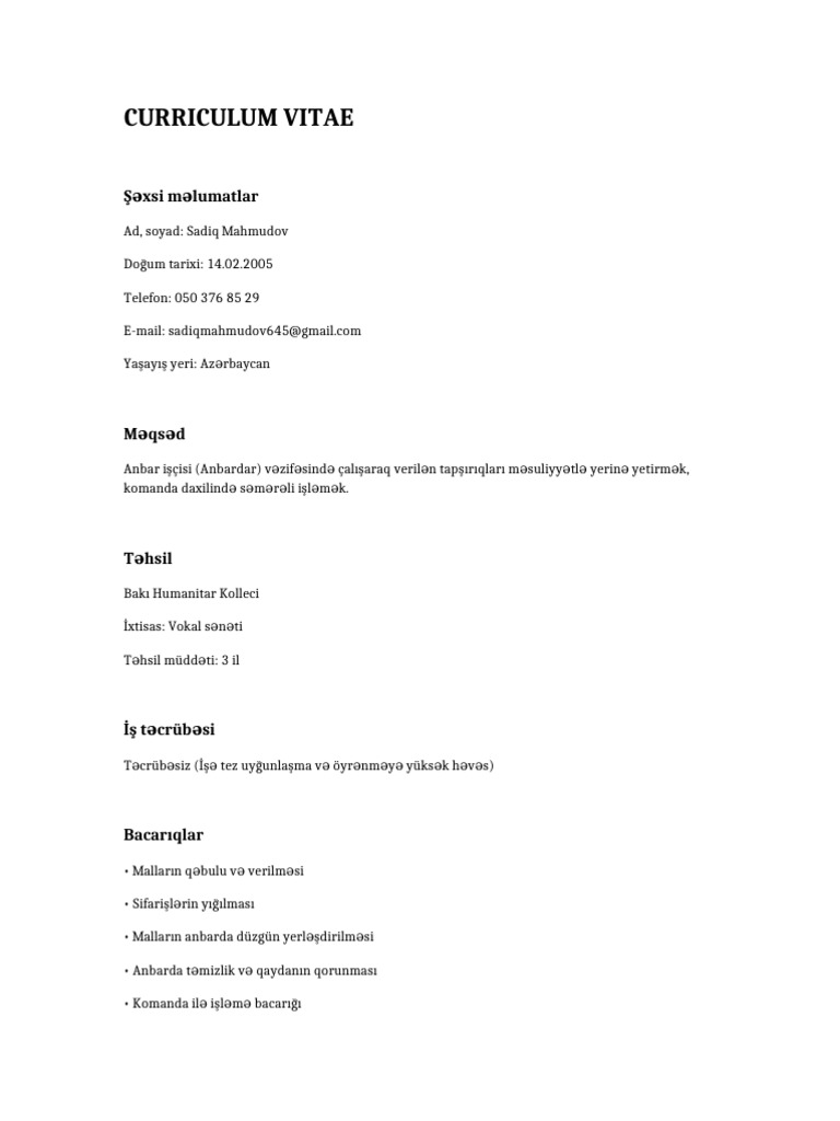 Sadiq Mahmudov CV | PDF